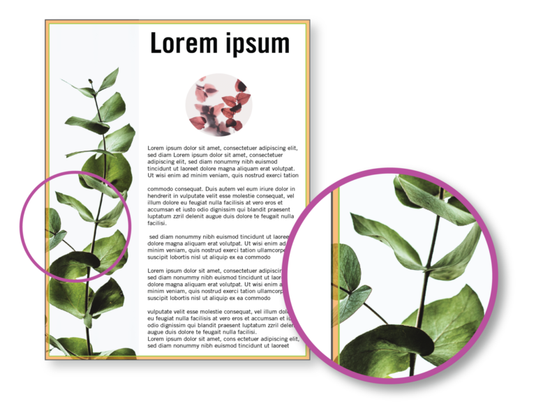 The Ultimate Guide for Adding Bleeds to your Print Project | Poor ...