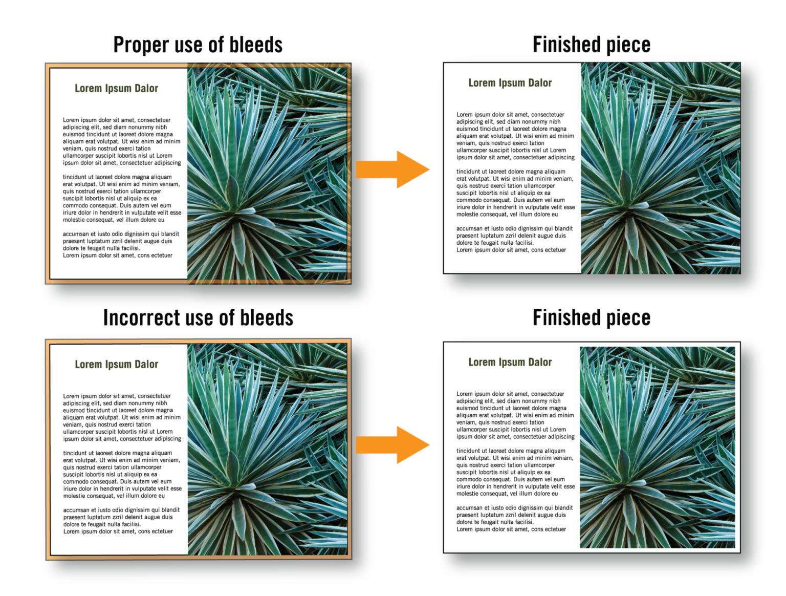 The Ultimate Guide for Adding Bleeds to your Print Project | Poor ...