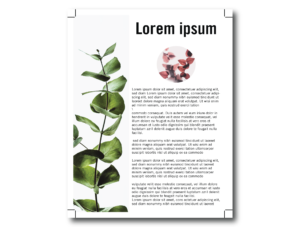 The Ultimate Guide for Adding Bleeds to your Print Project | Poor ...