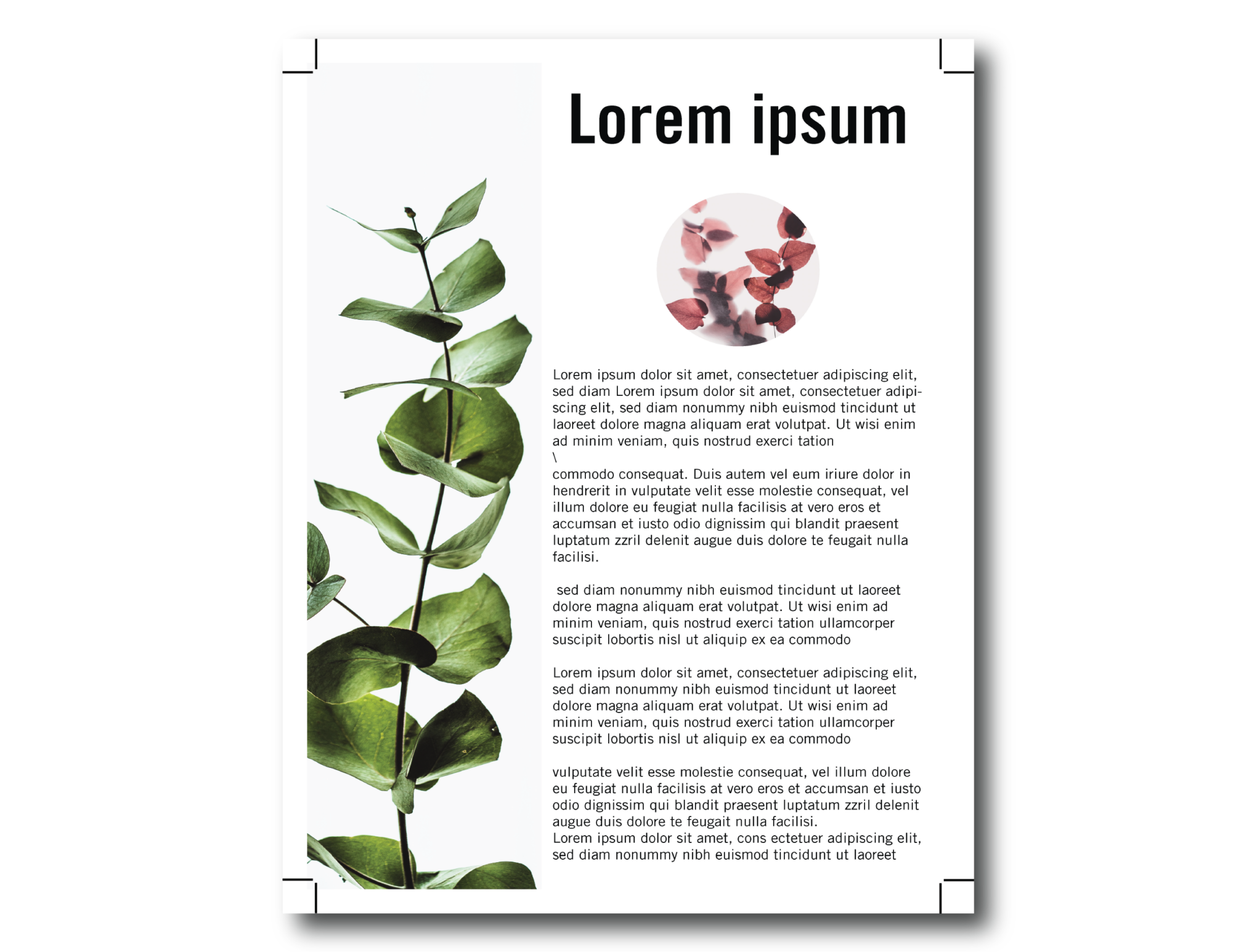 The Ultimate Guide for Adding Bleeds to your Print Project | Poor ...